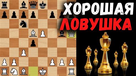 Хорошая шахматная Ловушка в редкой защите Youtube
