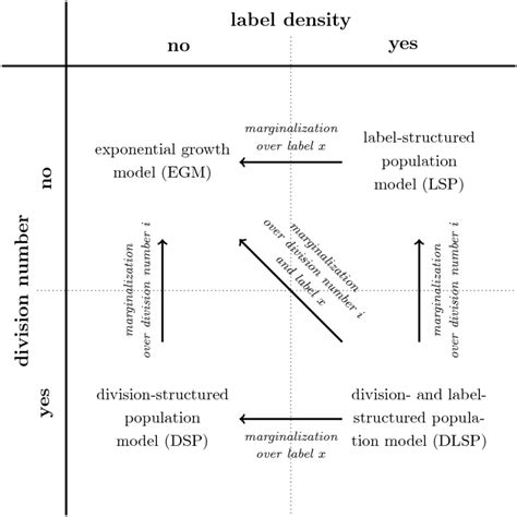 Illustration Of The Relation Between The Exponential Growth Model Download Scientific Diagram