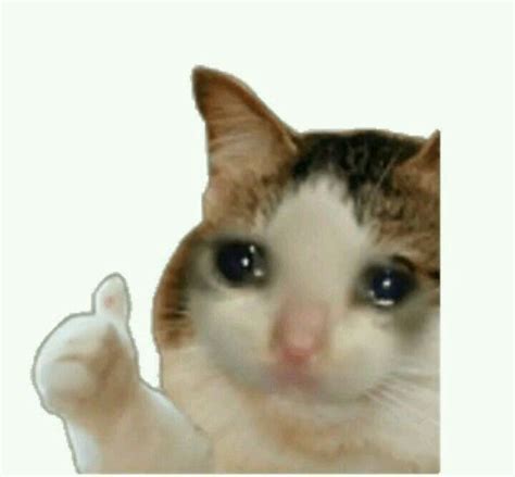 Pin by 𝒃𝒂𝒃𝒚 𝒍𝒆𝒎𝒐𝒏𝒂𝒅𝒆 on stickers Weird stickers Cat stickers
