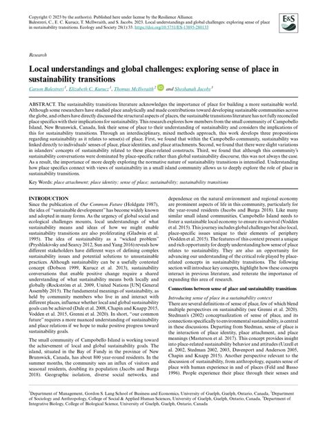 Pdf Local Understandings And Global Challenges Exploring Sense Of