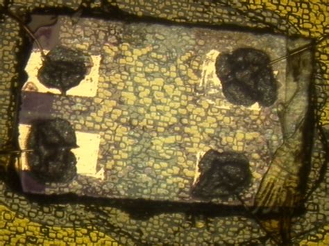 The Prepared Samples For I V Curve Measurement Download Scientific