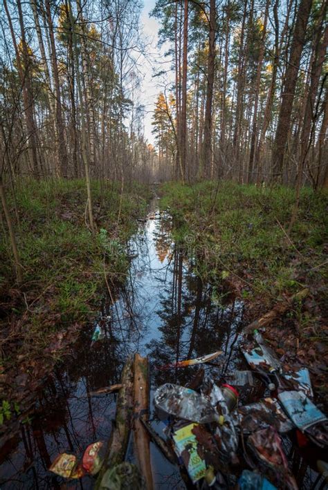 Illegal Dumpster In Wet Damp Forest In Autumn Stock Image Image Of