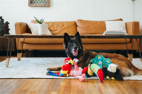 Fetching Flock Plush Toys Play