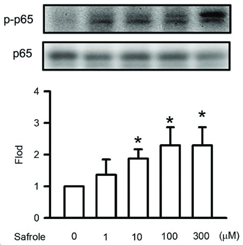 Safrole Was Demonstrated To Induce P65 Phosphorylation In Raw2647