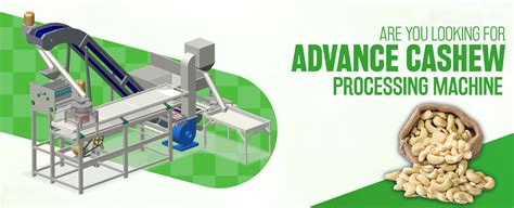Cashew Nut Processing Small Scale Cashew Nut Processing Plant Cashew