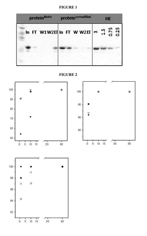Functionalisation Of Solid Substrates Eureka Patsnap