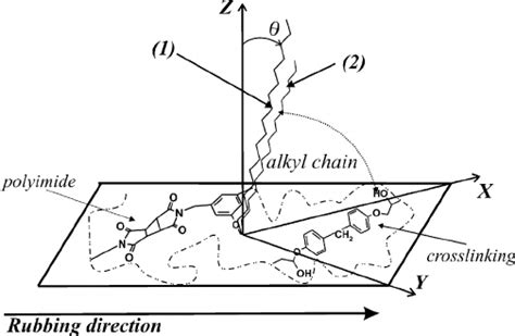 Surface Of Crosslinked Polymer Network 1 Position Of Alkyl Side
