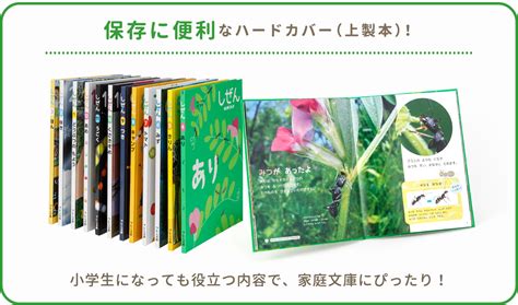 しぜん キンダーブック フレーベル館の月刊保育絵本