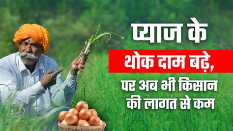 प्याज की औसत लागत 10 12 रुपये किलो जबकि औसत मंडी भाव 75 रुपये इन दिनों