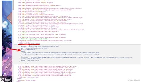 用python一晚上爬取p站几万张图片的详细教程爬十万张图片 Csdn博客