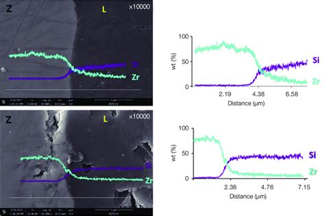 Line Scan Analysis Original Magnification ×10 000 Of Bonding Download Scientific Diagram