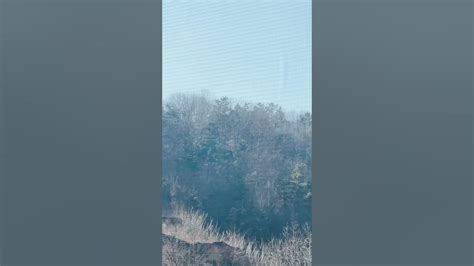 하나님의 저울에 달린 법조계 검은 카르텔소망예수그리스도 오늘하루를 바꾸는 변이수는 까닭 없는 저주는 참새의 떠도는 것과 제비의 날아가는 것 같이 이르지 아니하느니라”잠