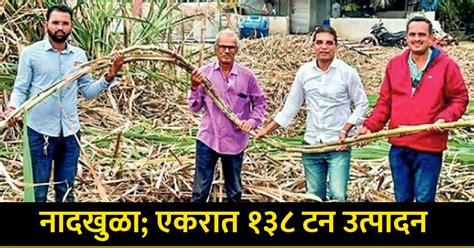 ऊस उत्पादनाचा गोड विक्रम एकरात काढला १३८ टन ऊस Sweet Record Of