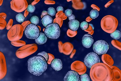 Scrna Seq Suggests A New Combination Therapy Recruits Stem Cell