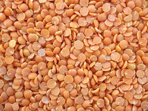 Lentil Images Free Photos PNG Stickers Wallpapers Backgrounds