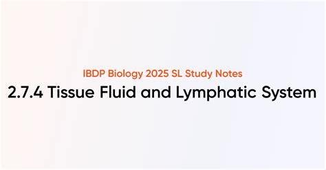 Tissue Fluid And Lymphatic System 274 Ib Dp Biology Sl 2025 Notes