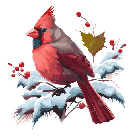 겨울 추기경 벡터 스티커 클립 아트 추기경 추기경 겨울 이미지  만화 상표 클립 아트 Png 일러스트 및 벡터 에