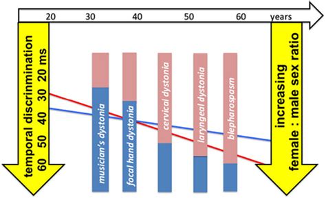 Graphic Illustrating The Relationship Between Age Related Sexual