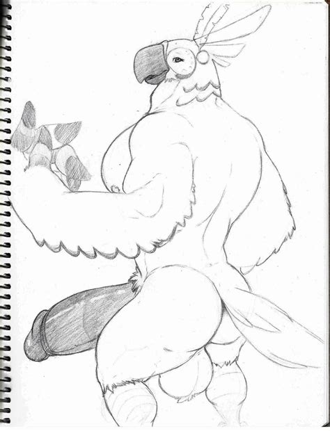 Rule 34 Anthro Ass Avian Back Back View Backsack Balls Big Balls Big