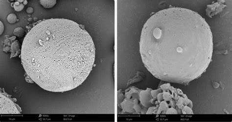 6 ứng Dụng Của Sem And Eds Trong Nghiên Cứu Và Phát Triển Khoa Học Dược Phẩm Công Ty Tnhh Tm Dv
