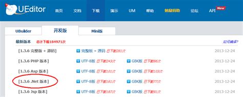 Ueditor的两种定制方式ueditor 首行缩进 Csdn博客