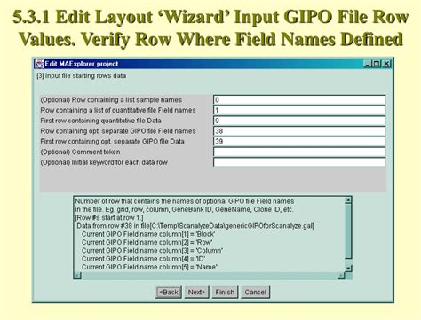 Using Cvt2mae To Convert A Separate Gipo And Scanalyze Array Data For