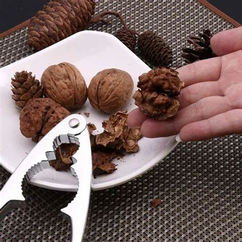 Stainless Steel Walnut Shell Cracker At Best Price In New Delhi Id