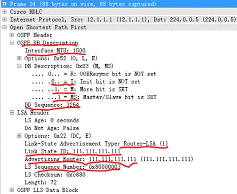 OSPF 小结 CSDN博客