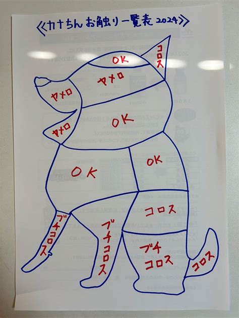 不要亂摸！柴犬身體可觸碰部位一次看清楚，前胸後背可以摸，「這裡」絕對殺無赦不能碰！ Japhub － 日本集合