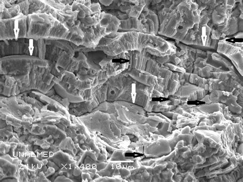 Splat Type Microstructure Of Ps Tc White Arrows Indicate Inter Splat Download Scientific