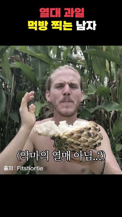 독특한 열대 과일 먹방 Youtube