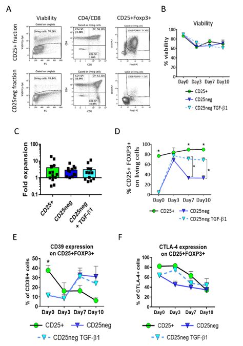 Viability And Phenotype After Cell Isolation And Throughout The Cell