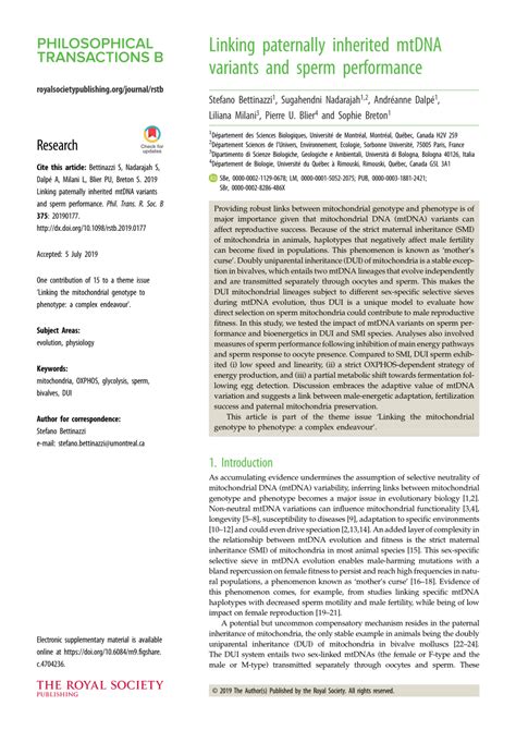 Linking Paternally Inherited Mtdna Variants And Sperm Performance