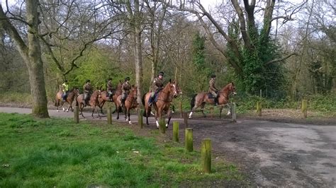 Oxleas Woods A Spark In Your Veins