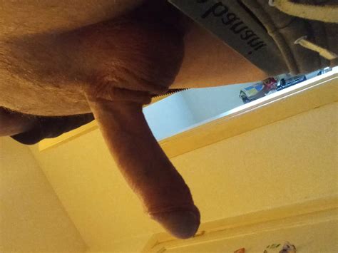 For Bitches Pics XHamster