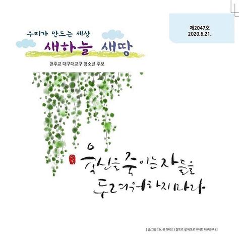하양성당 주일학교 교리교사회 연중 제12주일 새하늘 새땅☁️
