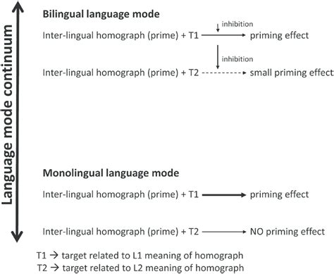 Schematic Representation Of Semantic Priming In Bilinguals In Different Download Scientific