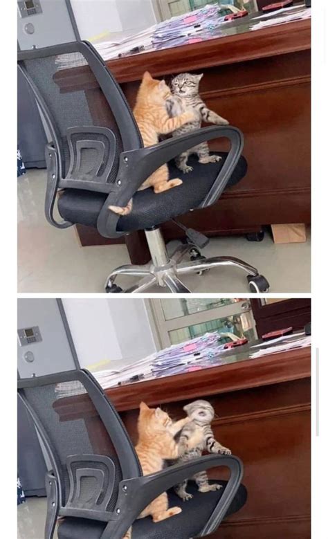 잡담 사무실에서 싸움났다 인스티즈instiz 일상 카테고리