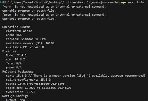 Next Js CLI Info Command