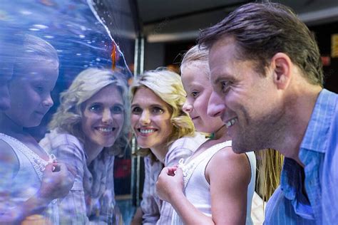 Starfish Tank Background Images Hd Pictures And Wallpaper For Free