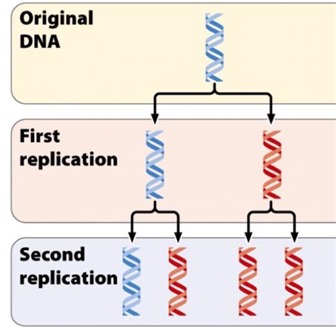 Chapter 12 Flashcards Quizlet Chapter 12 Flashcards Quizlet