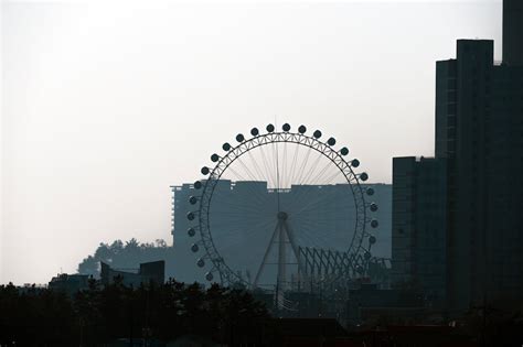 강원도 건물 건축 고층 고층 건물 관광 관광지 관람차 나무 놀이공원 대한민국 도시 경관 도시 사진 도시 실루엣 도시 전망 도시 탐사 도시 풍경