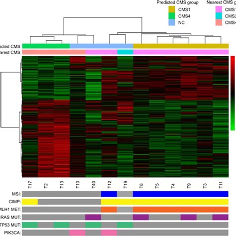 Heatmap And 2 Way Hierarchical Clustering Kendal Distance Wardd