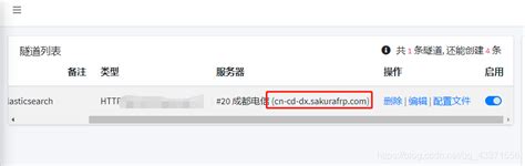 Frpc实践一实现内网穿透frpc是什么 Sakura Csdn博客