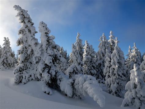 Ձմեռվա Բնությունը