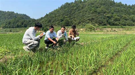 显影中国 新华网浙江