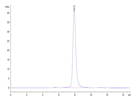 Cynomolgus Rhesus Macaque AMHRII Protein AMH CM2R2 KACTUS