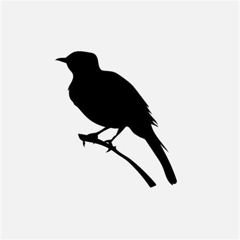 Premium Vector Bird Vector Png