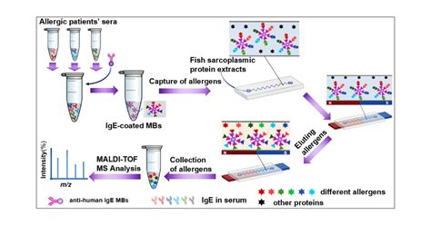 Microfluidic Chip Coupled With Maldi Tof Ms For Multitarget Detection Of Allergens In Crucian