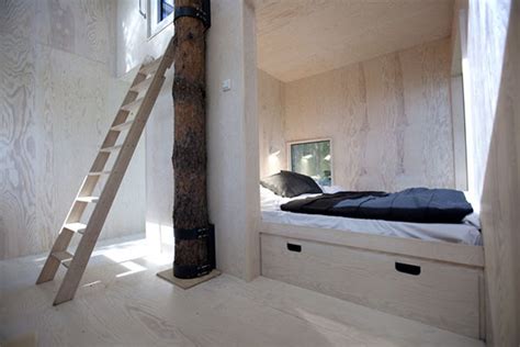 Invisible Treehouse The Freaky